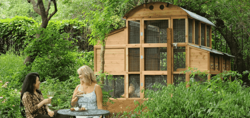 70+ Coop Name Board Ideas - Roost & Root