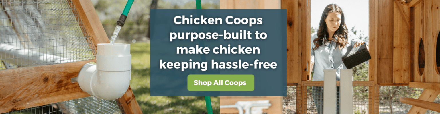 Chicken Coops, Raised Gardens, & Greenhouses by Roost & Root