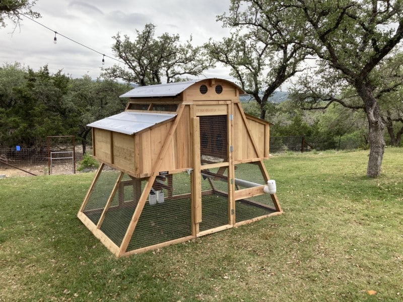 Round-Top Chicken Loft - Large Walk-in - Roost & Root