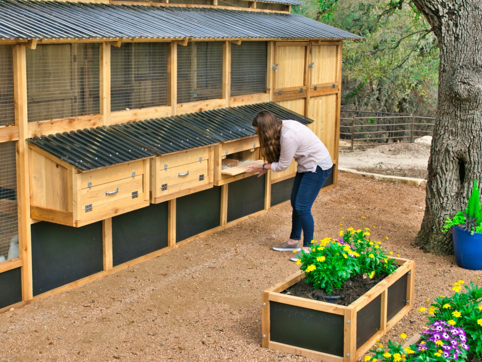 Heritage Chicken Coop M40 | Large Premade Coop for 50 Hens | Roost & Root