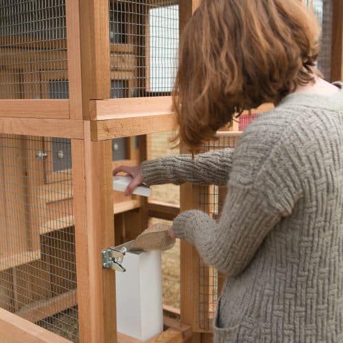FAQs: Chicken Keeping, Coops & Greenhouse Gardening | Roost & Root