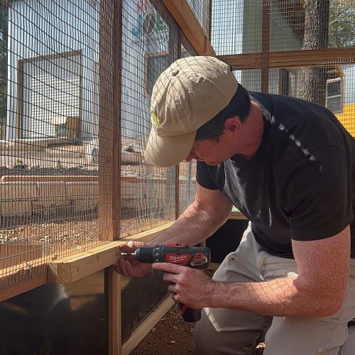 FAQs: Chicken Keeping, Coops & Greenhouse Gardening | Roost & Root