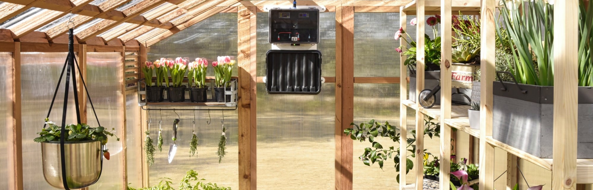 FAQs: Chicken Keeping, Coops & Greenhouse Gardening | Roost & Root